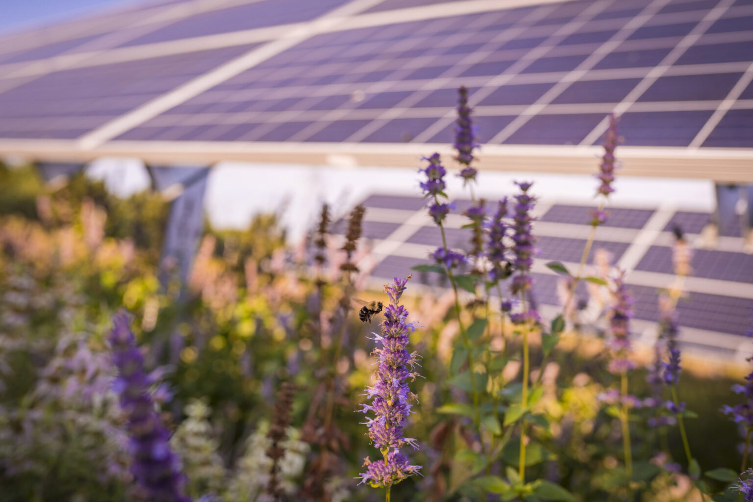 Our Accountability – Council of the Great Lakes Region